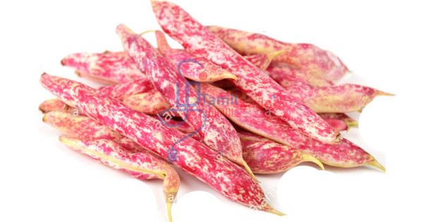 Roman Beans (0.85 lb to 1 lb)