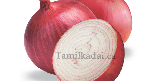 RED Onion (10Lb Bag) - சிவப்பு வெங்காயம்